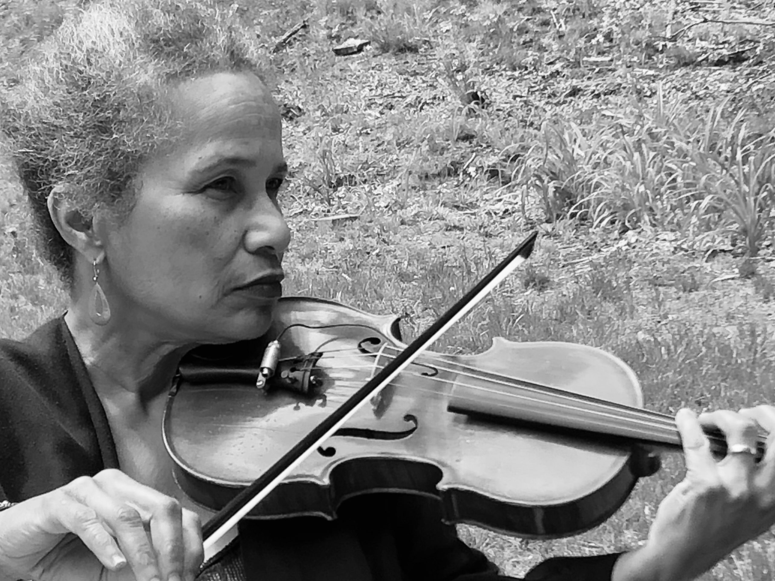 Terry Jenoure and The Portal: Letters From Papa - Roulette