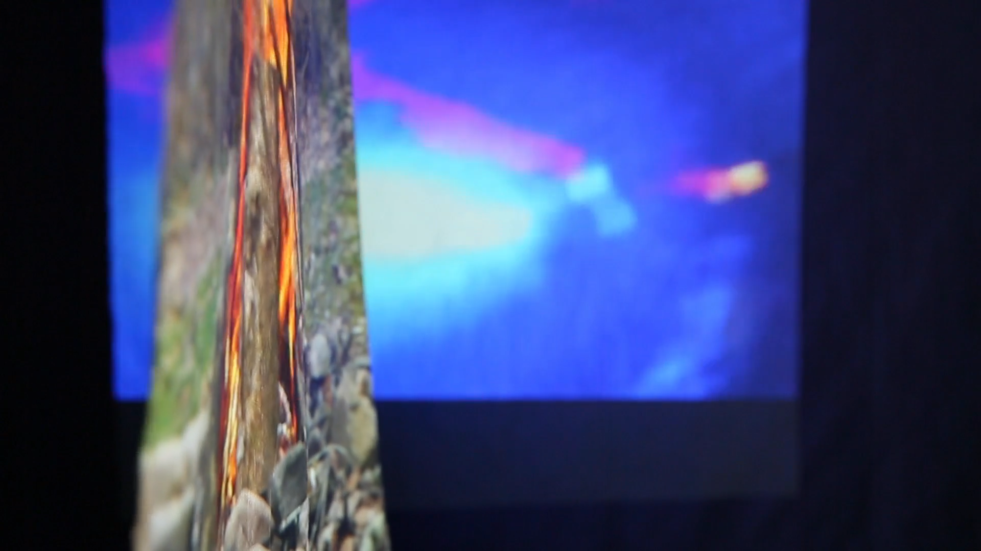 Anastasia Clarke / Shannon Lumpkin / Dawn Felicia Knox: Swans Lakeless ...